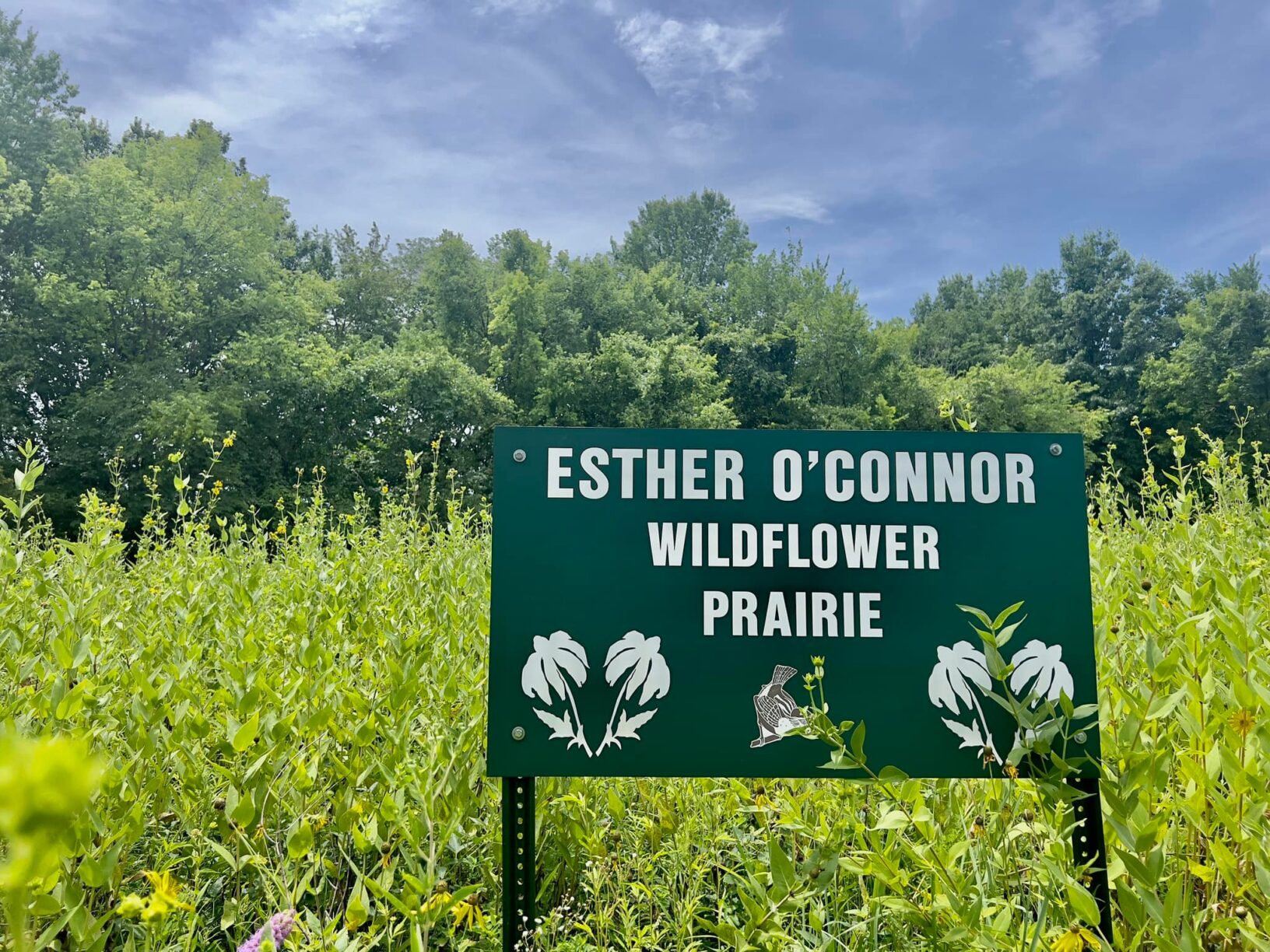 Burroughs Audubon Society – The Greater Kansas City Chapter of the ...