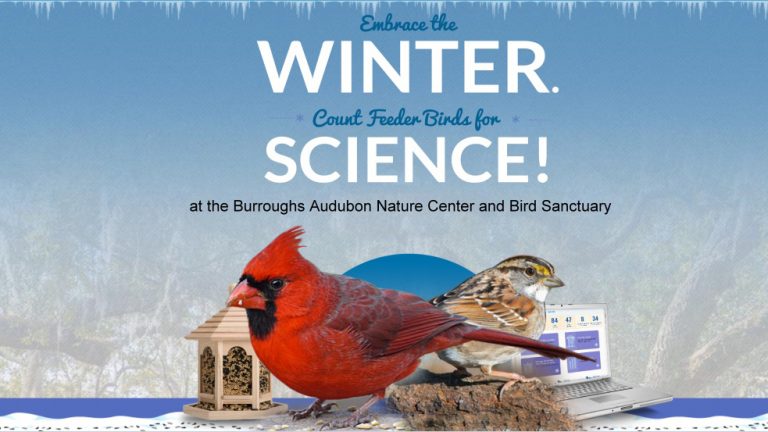 Nature Center Program: Project FeederWatch 3 – Burroughs Audubon Society